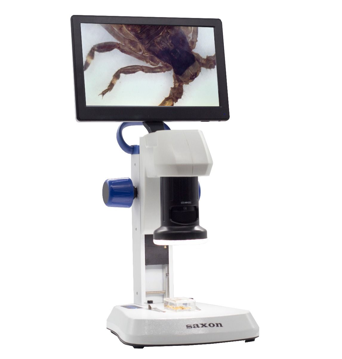 stereo microscope used for
