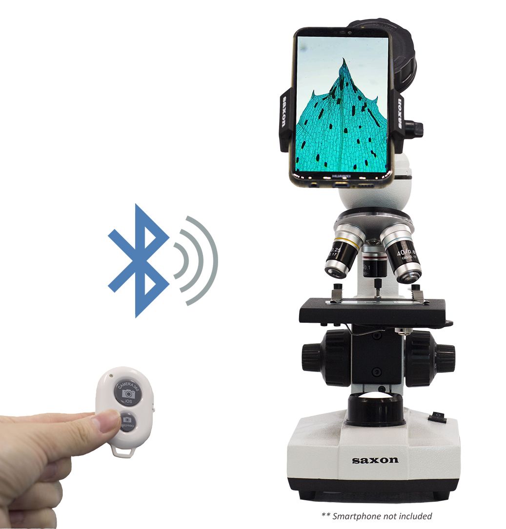 Home page [www.saxon.com.au]